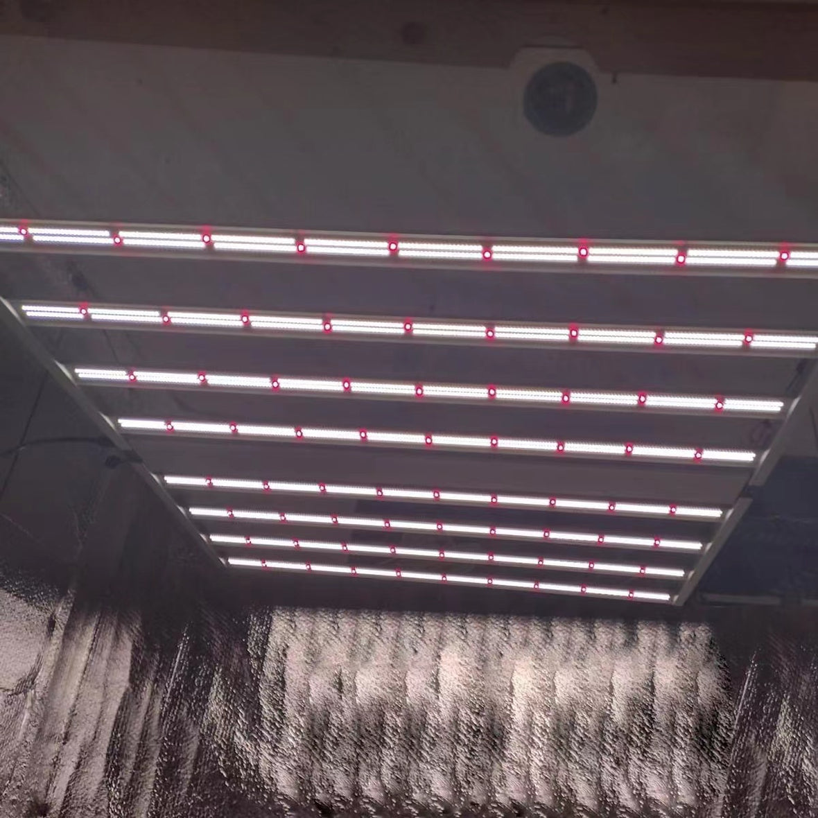 1000w LED Grow Light | 1000 watt LED Light | Best 1000w LED Grow Light ...