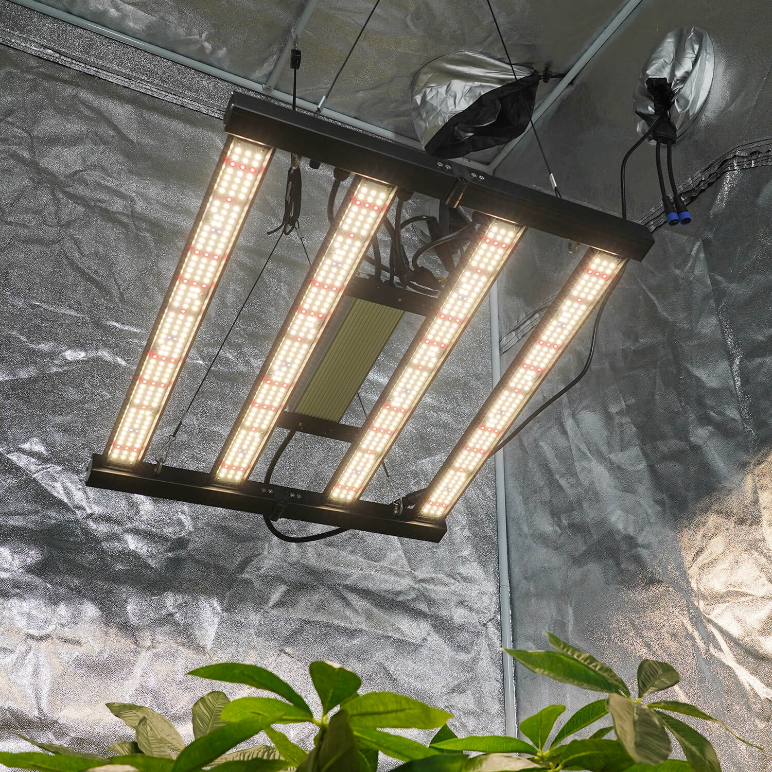 3x3 Grow Light Seed Starting Light Samsung Diodes Grow Light Cul 3x3 Grow Light Seed Starting Light Samsung Diodes Grow Light Cul