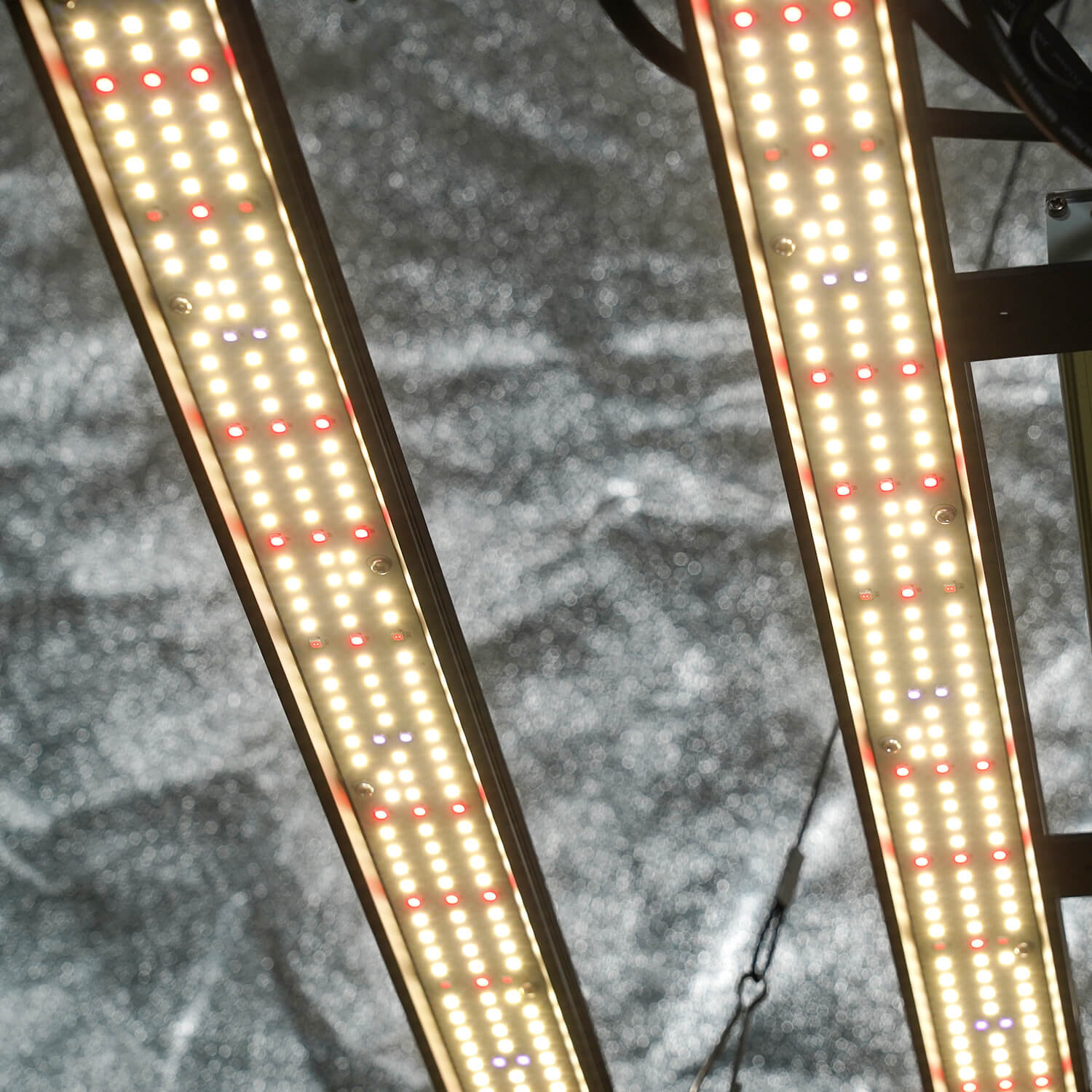 3x3 Grow Light Seed Starting Light Samsung Diodes Grow Light Cul 3x3-grow-light-seed-starting-light-samsung-diodes-grow-light-cul