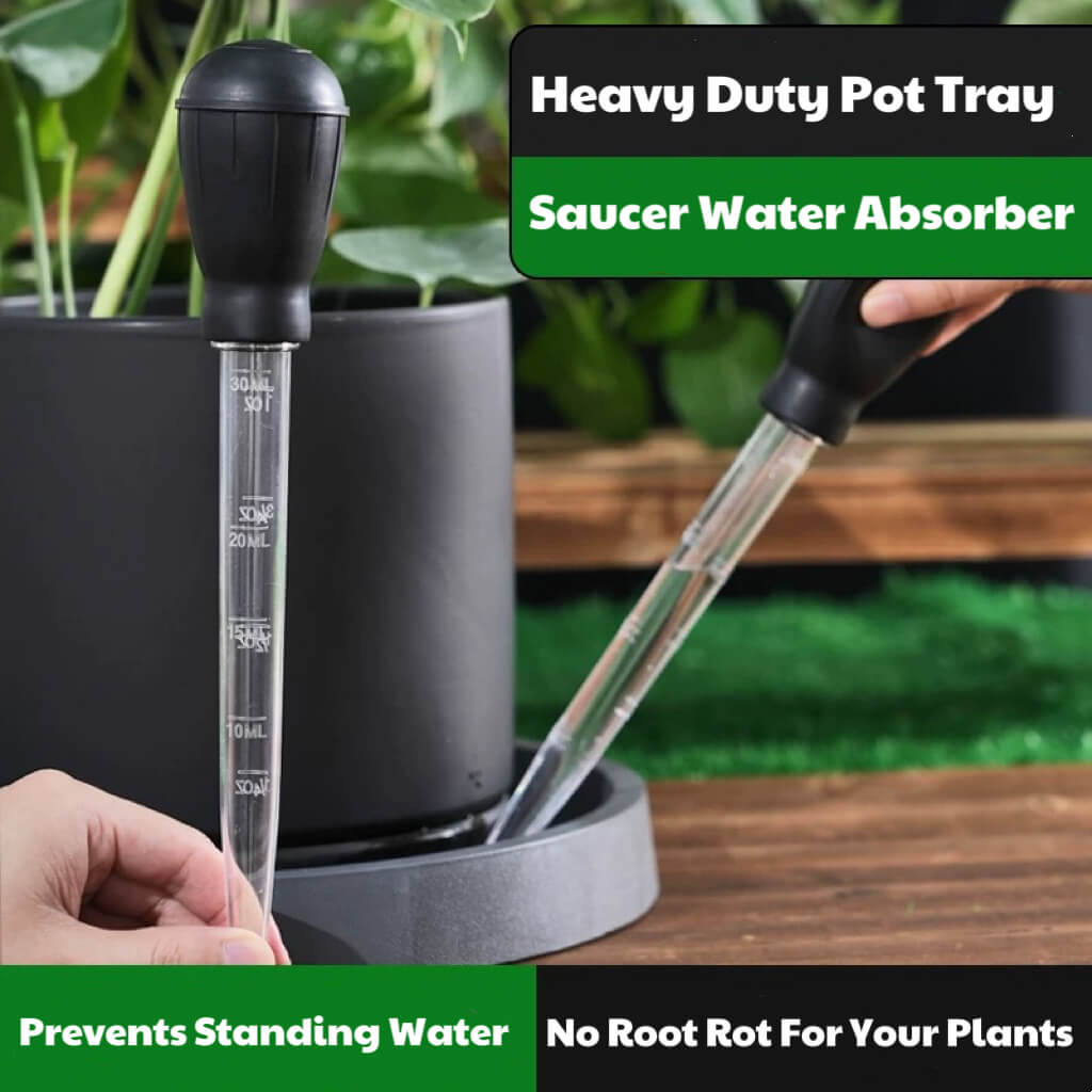 Water Absorber Sucker To Remove Water from Saucers of Heavy Pots ...